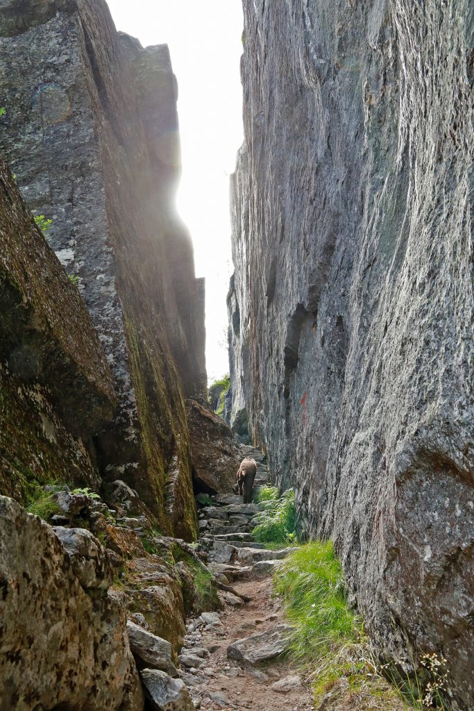 Oldedalen – Blåfjellet – Oldeskaret – Stardalen, Aug 15 2020 ...
