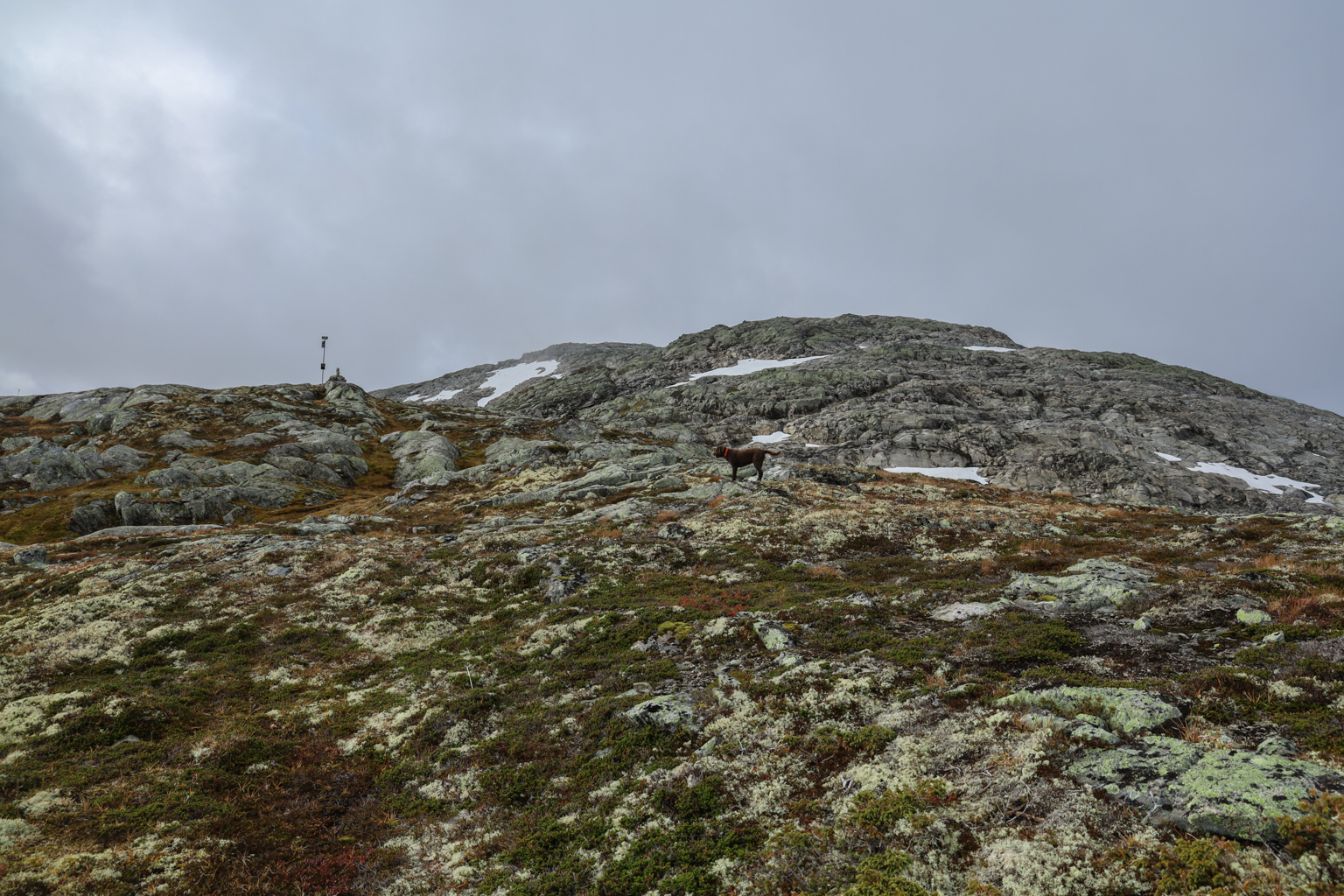 IMG_3683 – fjordpeaks.com – Arnt Flatmo