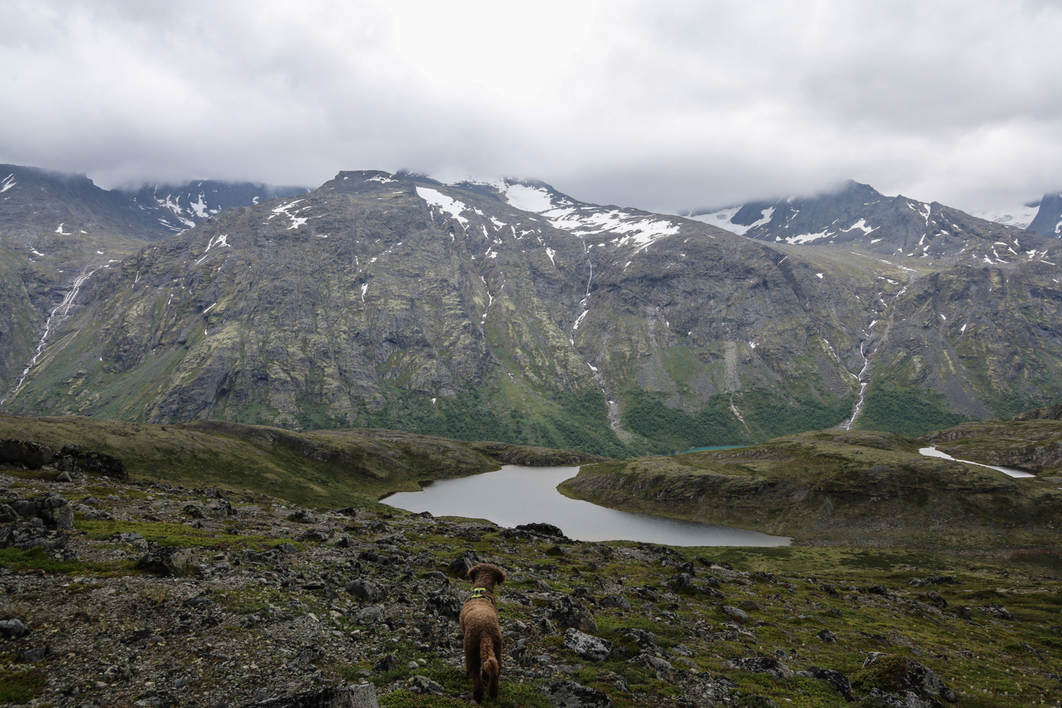 IMG_3288 – fjordpeaks.com – Arnt Flatmo