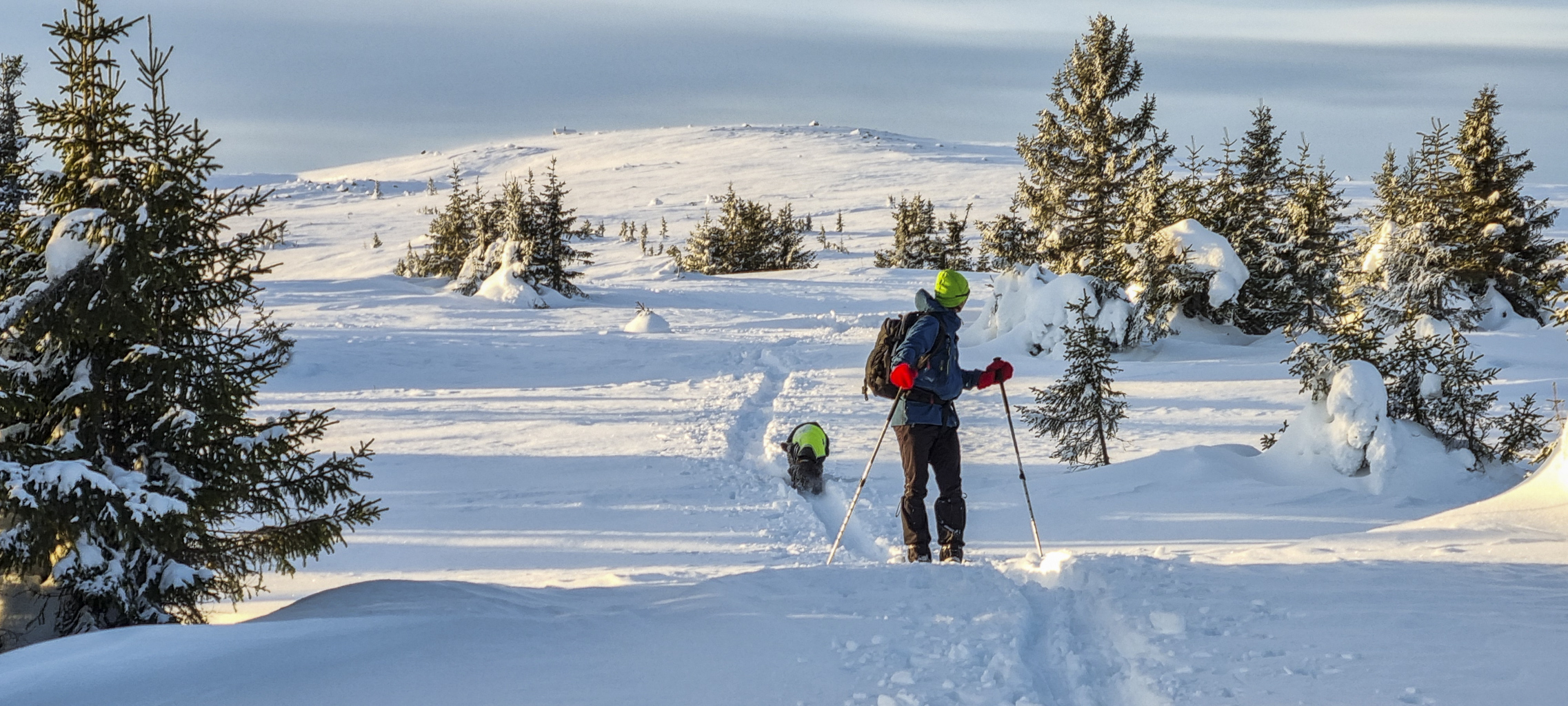 20231226_134640 – fjordpeaks.com – Arnt Flatmo